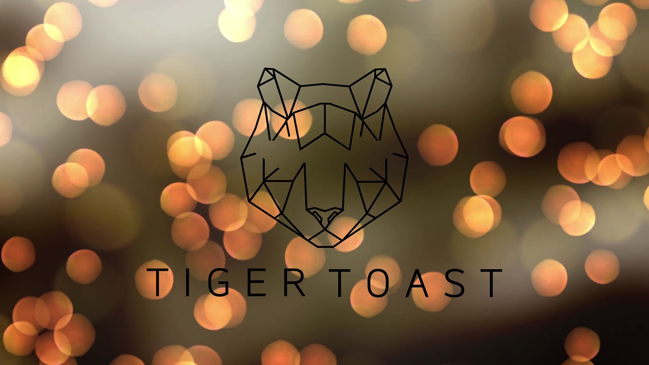 Closer (Original Mix) - Tiger Toast - YouTube