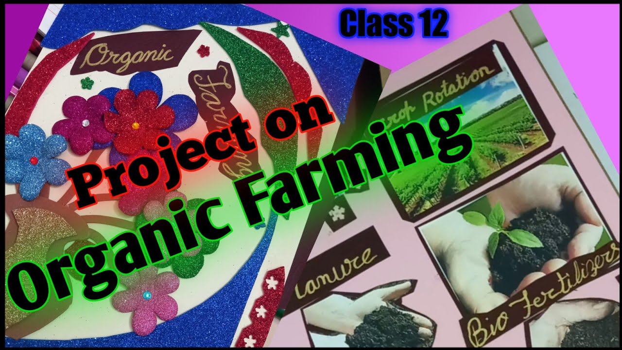 Organic Farming Project | Class 12 | CBSE Board Project - YouTube