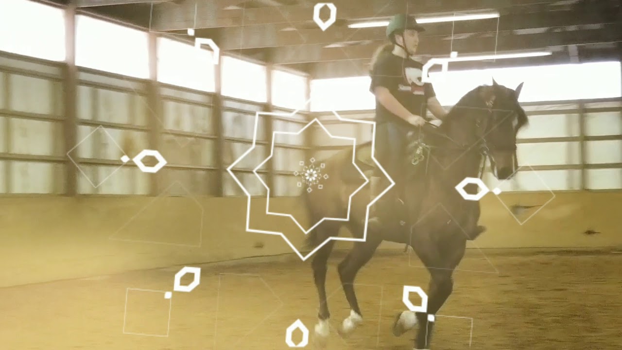 Blue Chip Socks- Half Arabian Country Pleasure - YouTube