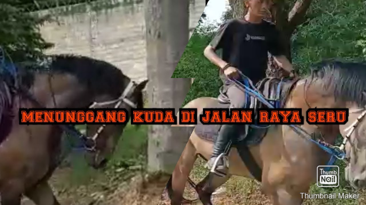 menunggang kuda di jalan raya seru - YouTube