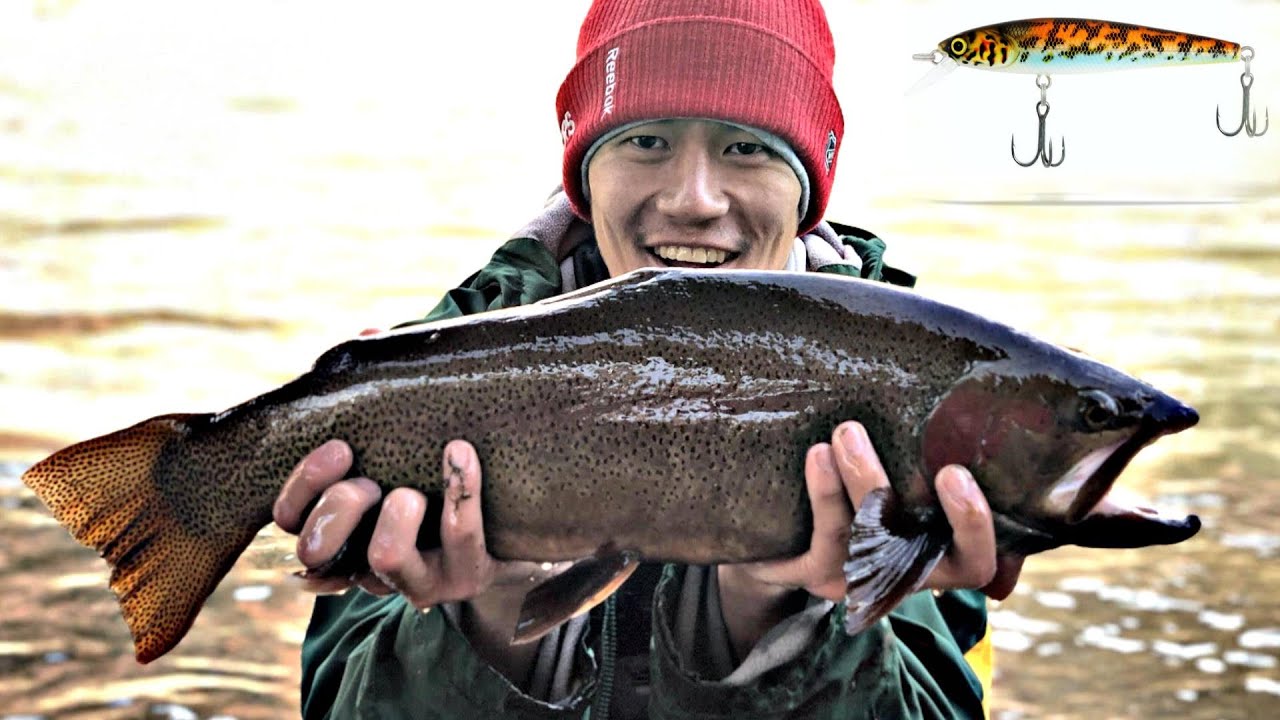 GIANT TROUT River Fishing in Colorado! (PB Cutbow Trout) - YouTube