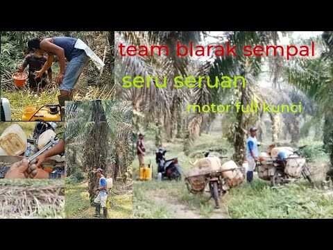 team blarak sempal ...sampai jadi artis editan - YouTube