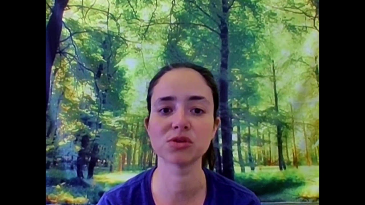 Scaife's Supervision Model - YouTube