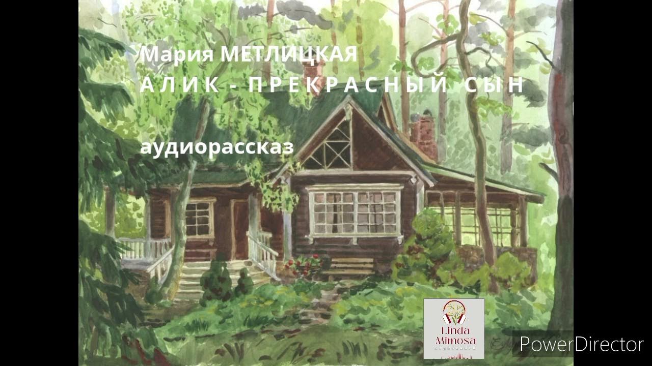 Аудиорассказ АЛИК ПРЕКРАСНЫЙ СЫН⚪М Метлицкая Youtube