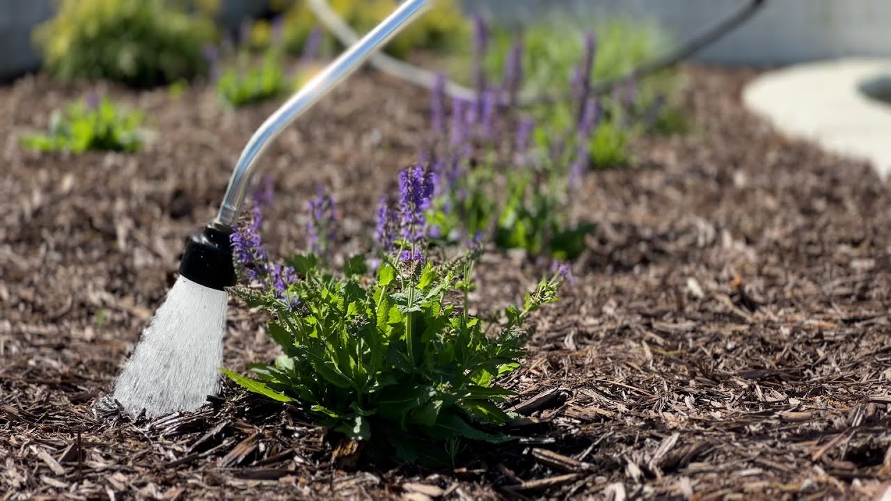 The McDonald Method - Episode 7: Prepping the Landscape - YouTube