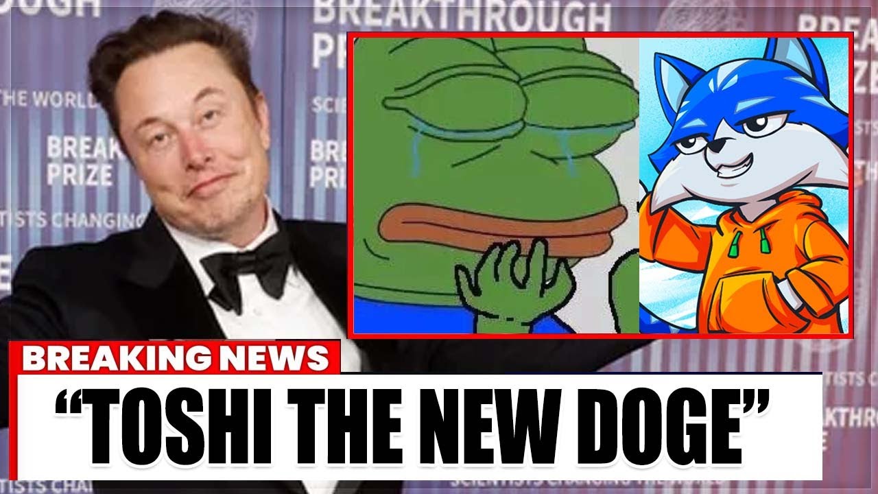 Toshi Just Did What SHIB & PEPE Couldn’t at This Stage 🚀 (The Next ...