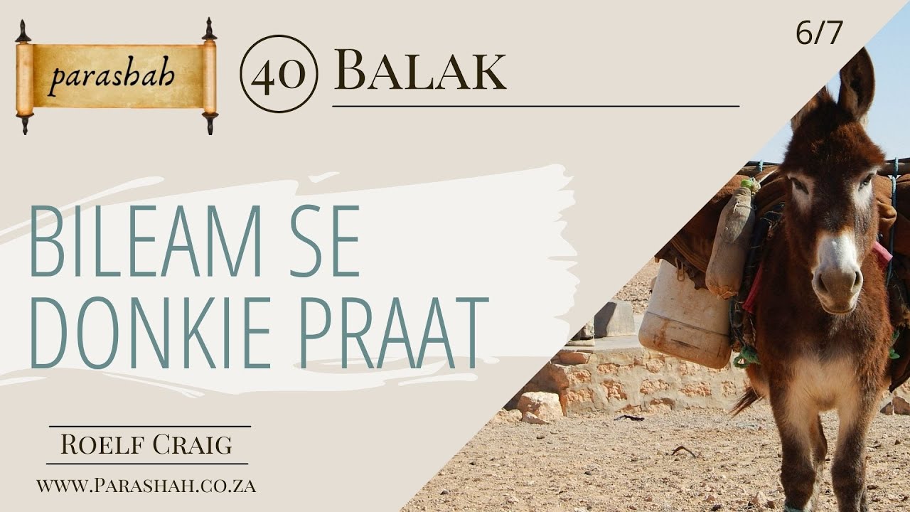 Parashah 40 - Balak 6 - Bileam se donkie praat - YouTube
