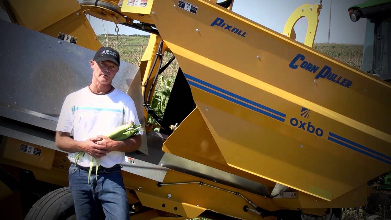 Oxbo CP100 Fresh Market Corn Harvester - YouTube