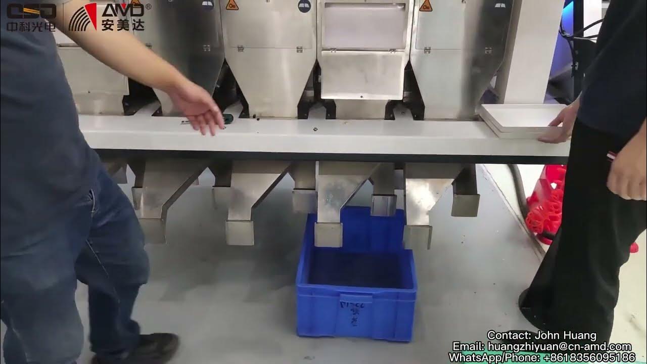 AMD Color Sorter Machine for Hard Red Wheat Berries Sorting - YouTube