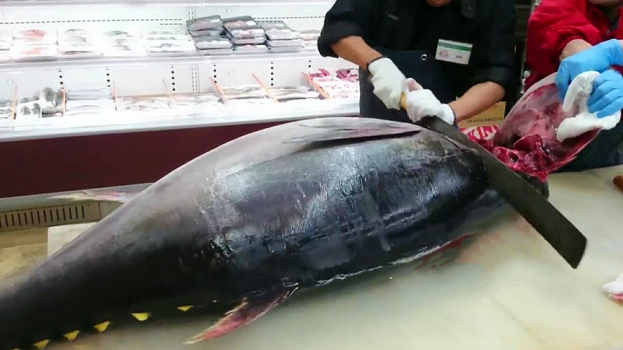 Japan Seafood - Tuna Cutting Show For Sale - YouTube