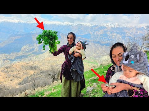A nomadic woman's adventure with her baby to prepare herbal medicines for sale