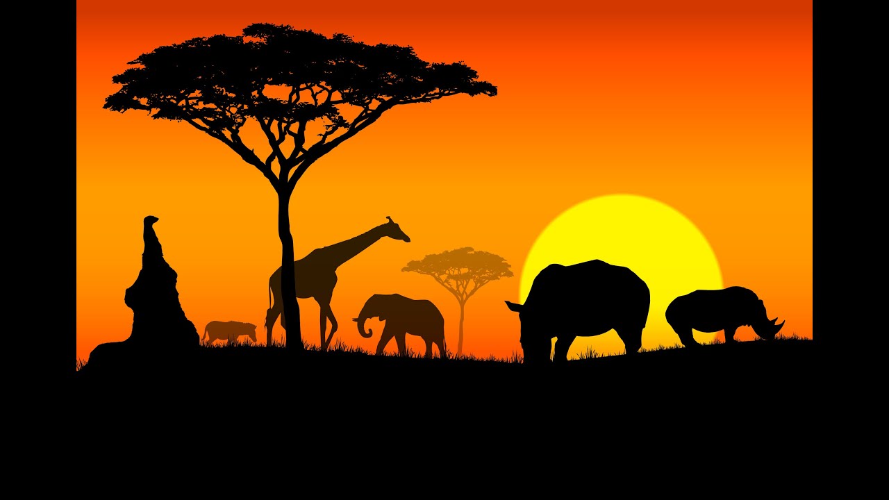 Relaxing African Music , Savanna - YouTube