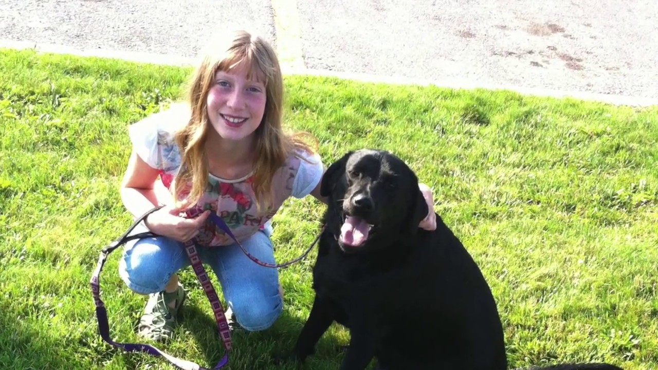 A tribute to the best dog ever, Moxy. - YouTube