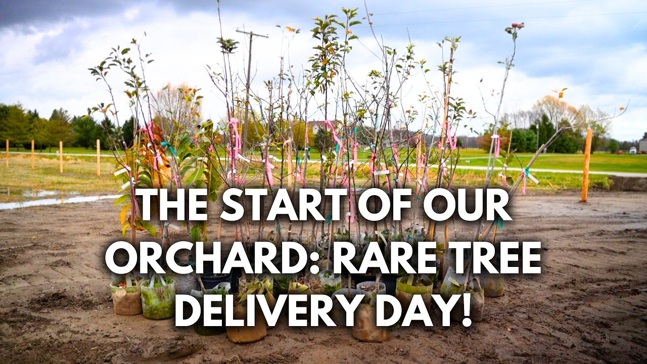 The FIRST Crops We Are Planting at The New Farm! - YouTube