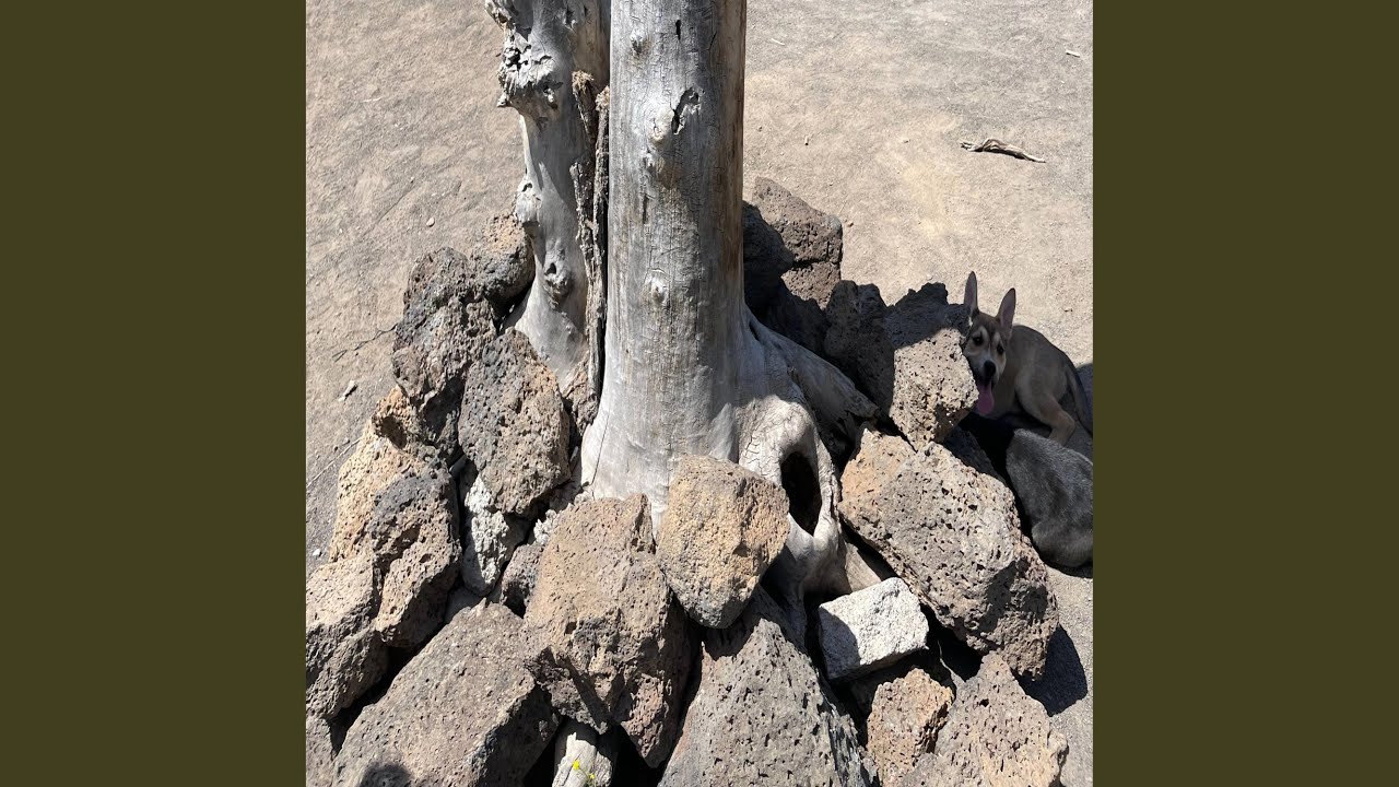 P.O.T.U.S. - YouTube