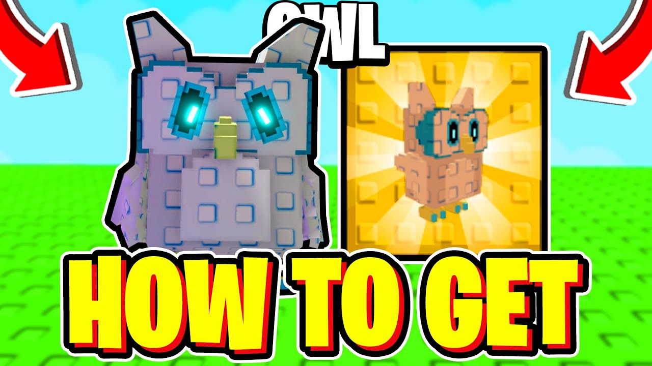 How To GET OWL In Grow A Garden! (OWL SHOWCASE) Roblox - YouTube