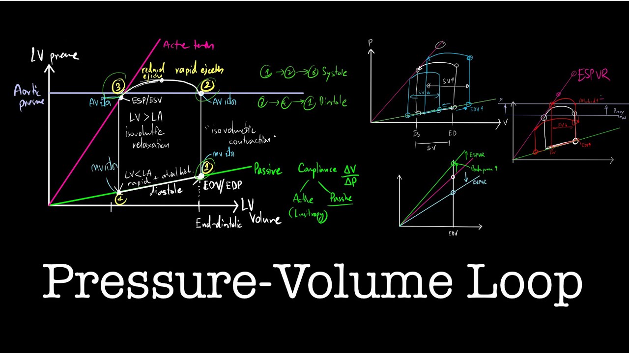 Cardiovascular Graphs and Curves Pt. 2 - Pressure-Volume Loop | The ...
