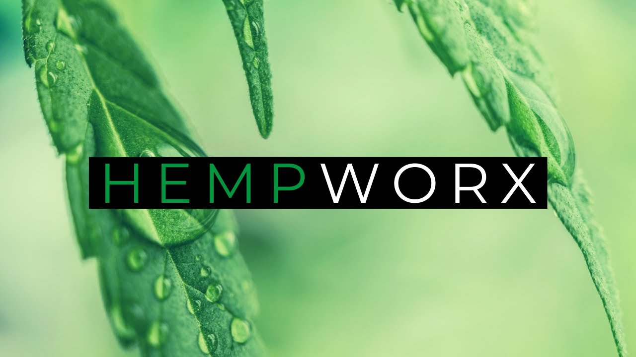HEMPWORX CBD Oil Review - YouTube