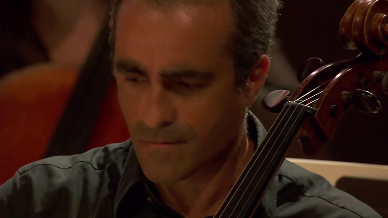 Carl Philipp Emanuel Bach : Symphonie en sol majeur - YouTube