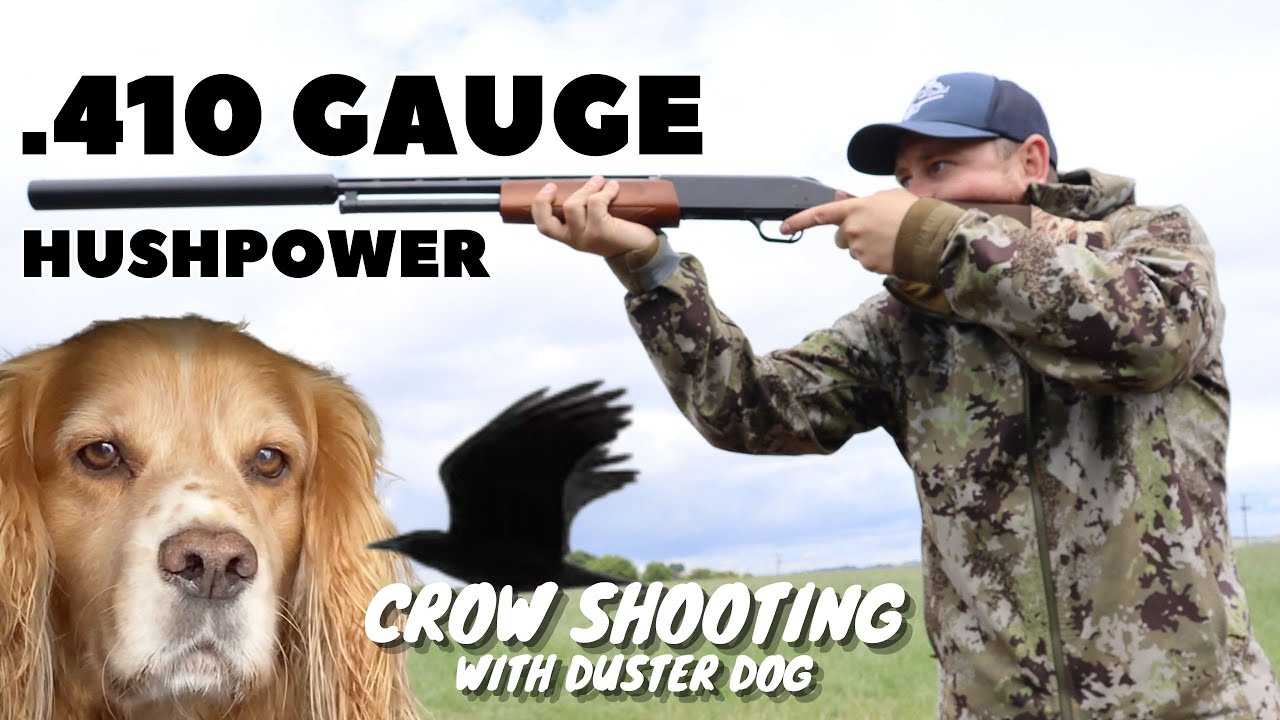 Hushpower .410 Gauge Pump Action | Crow Shooting with Duster Dog - YouTube