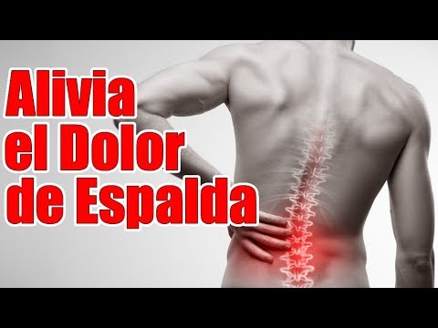 Cómo Aliviar el Dolor de Espalda Alta, Baja y Media (Ejercicios Dolor ...