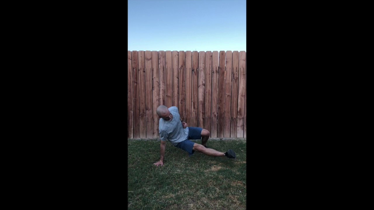 Quadruped Plank w:Leg Sweep - YouTube