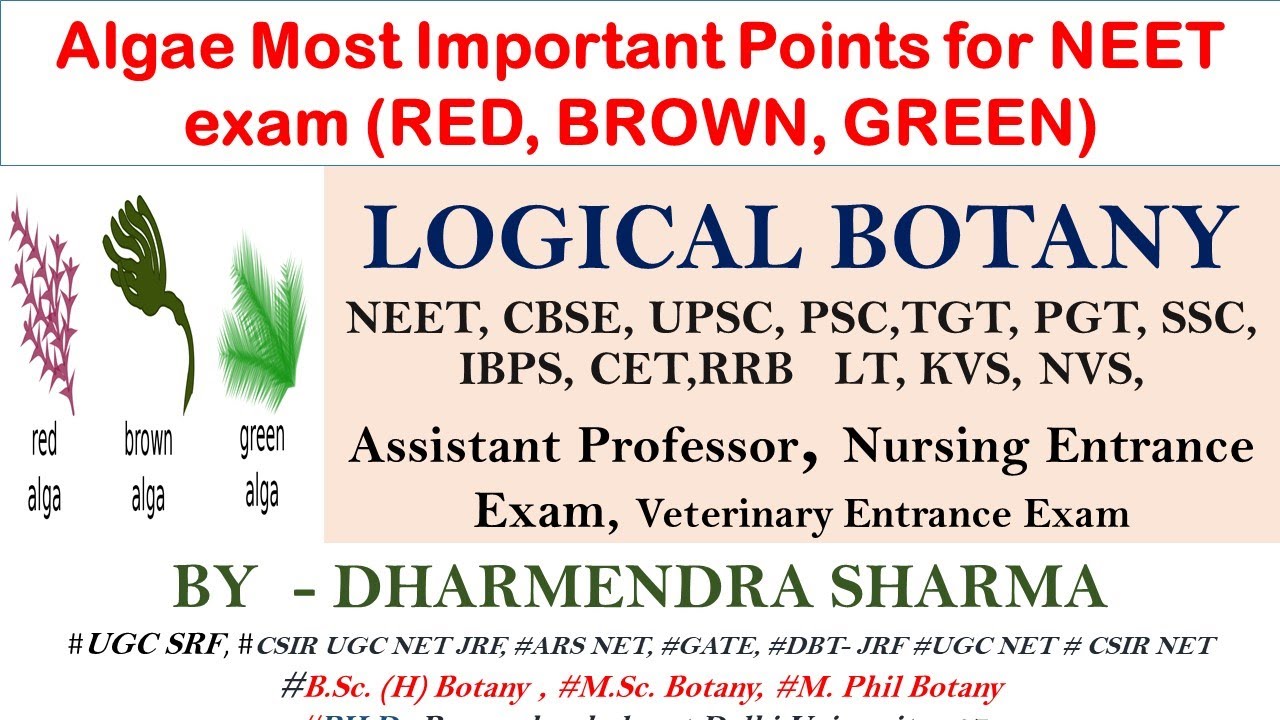 Algae (RED, BROWN, GREEN) II Most Important Points for NEET #Botany ...