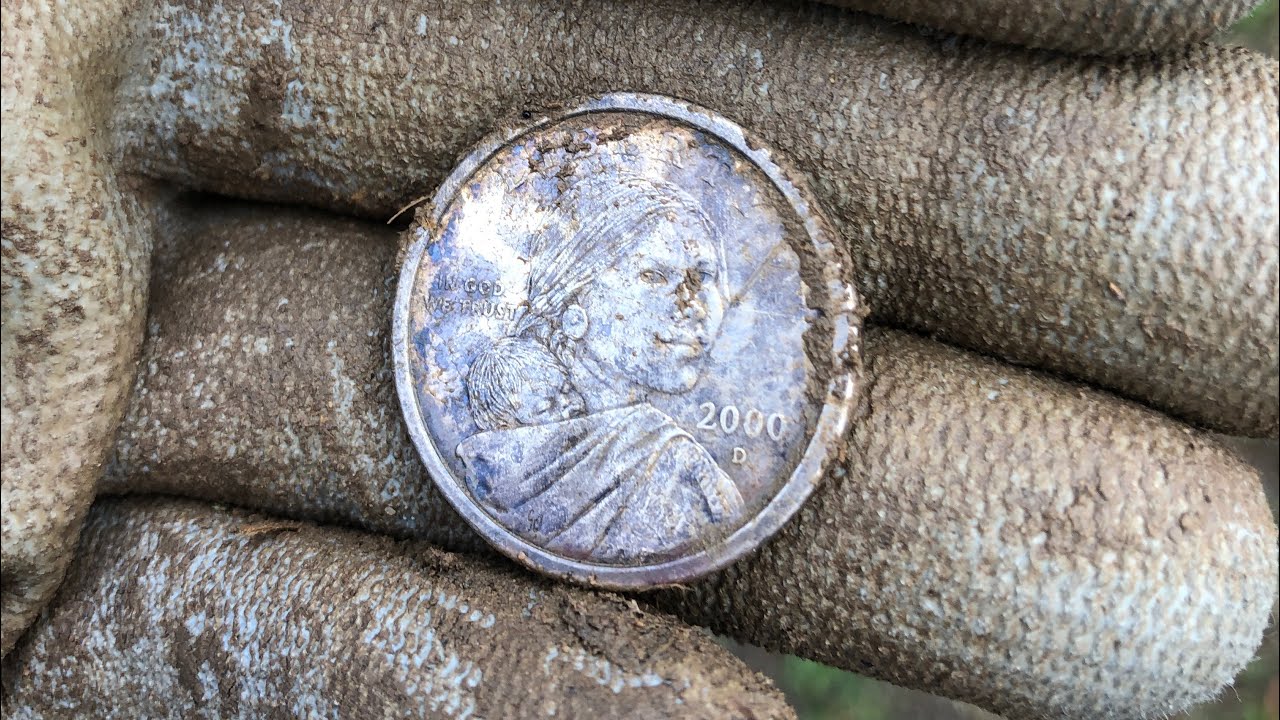 Anfibio Nokta Makro Finds $1 Coin - YouTube