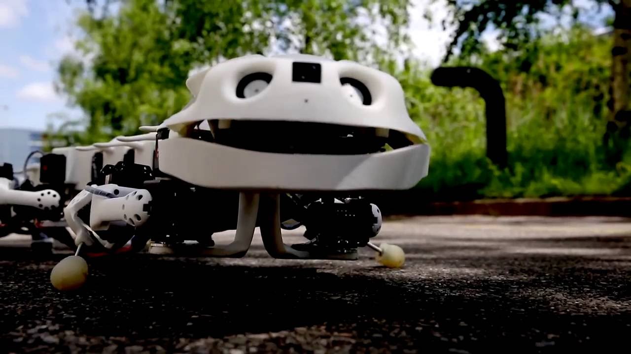 Робот-саламандра Pleurobot - YouTube