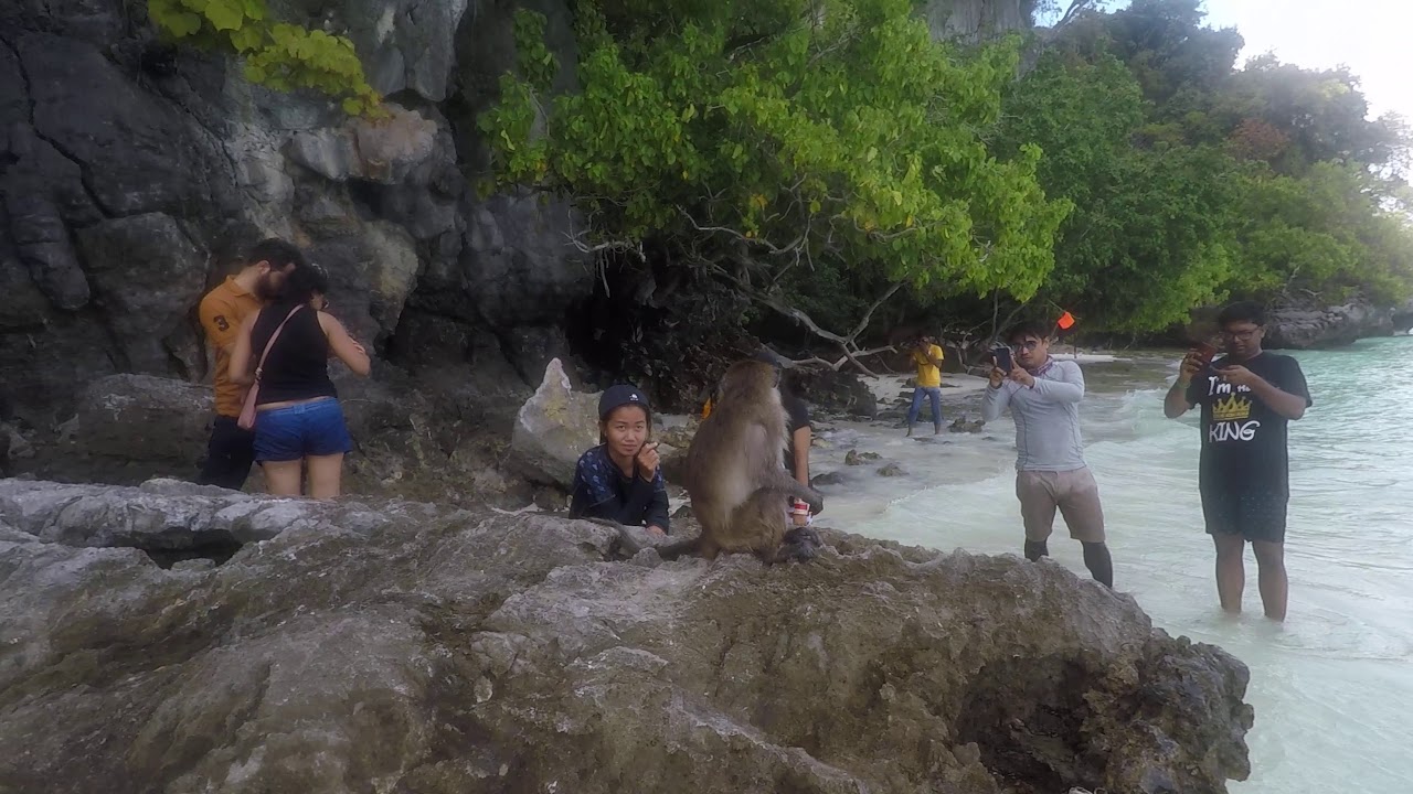 The Fifi island day trip by Dr Arif Herekar - YouTube