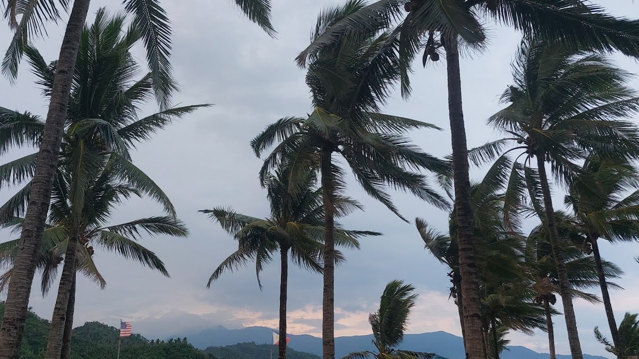 BEAUTIFUL WINDY SUNSET - YouTube