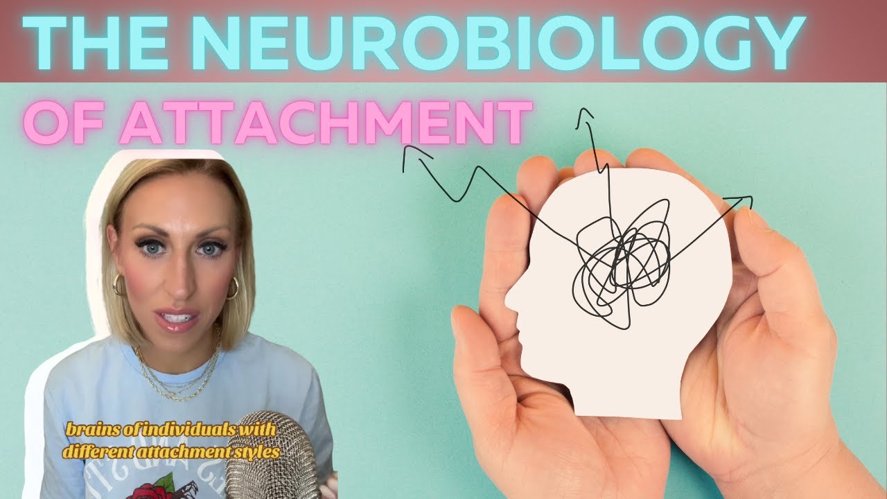 The neurobiology of attachment - YouTube