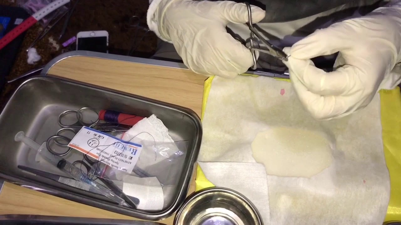 PERAWATAN MENJAHIT LUKA(HECTING) - YouTube