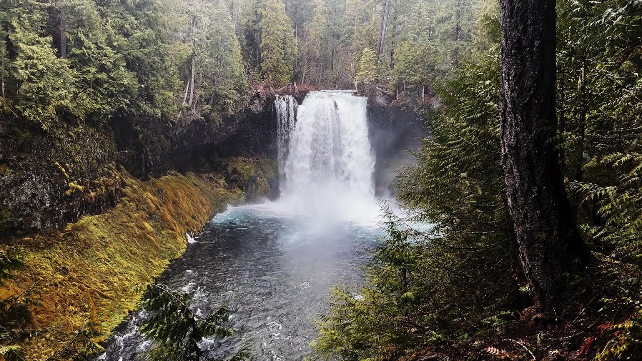 (4K UHD) RUSTIC HIKING Sahalie & Koosah Falls Loop (FULL HIKE - 2 of 3 ...