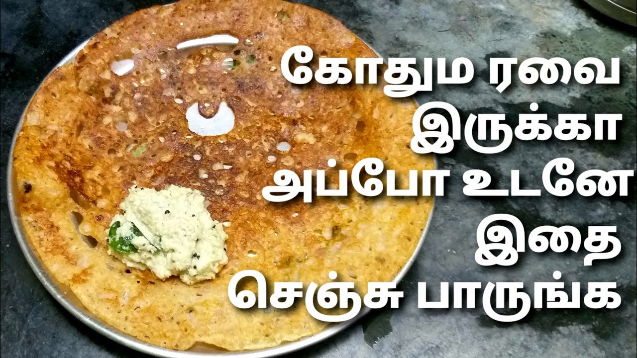 கோதுமை ரவை தோசை | Gothumai Rava Dosai Receipe in Tamil | Wheat Rava ...