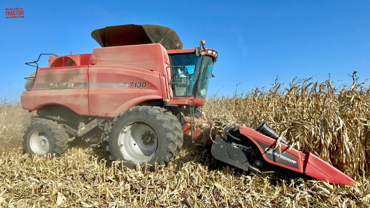 CASE IH 7130 AXIAL-FLOW Combine Harvesting Corn - YouTube