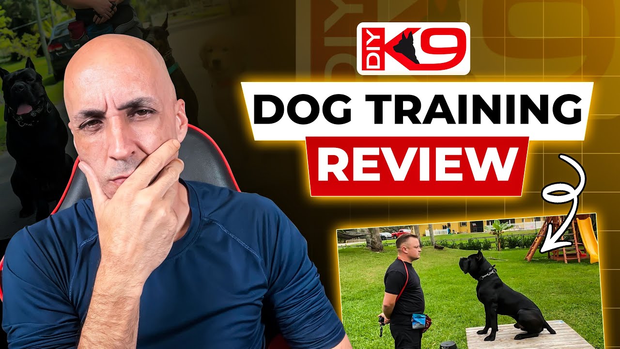 DIYK9 Dog Training Review: Watch This Before You Try It! - YouTube