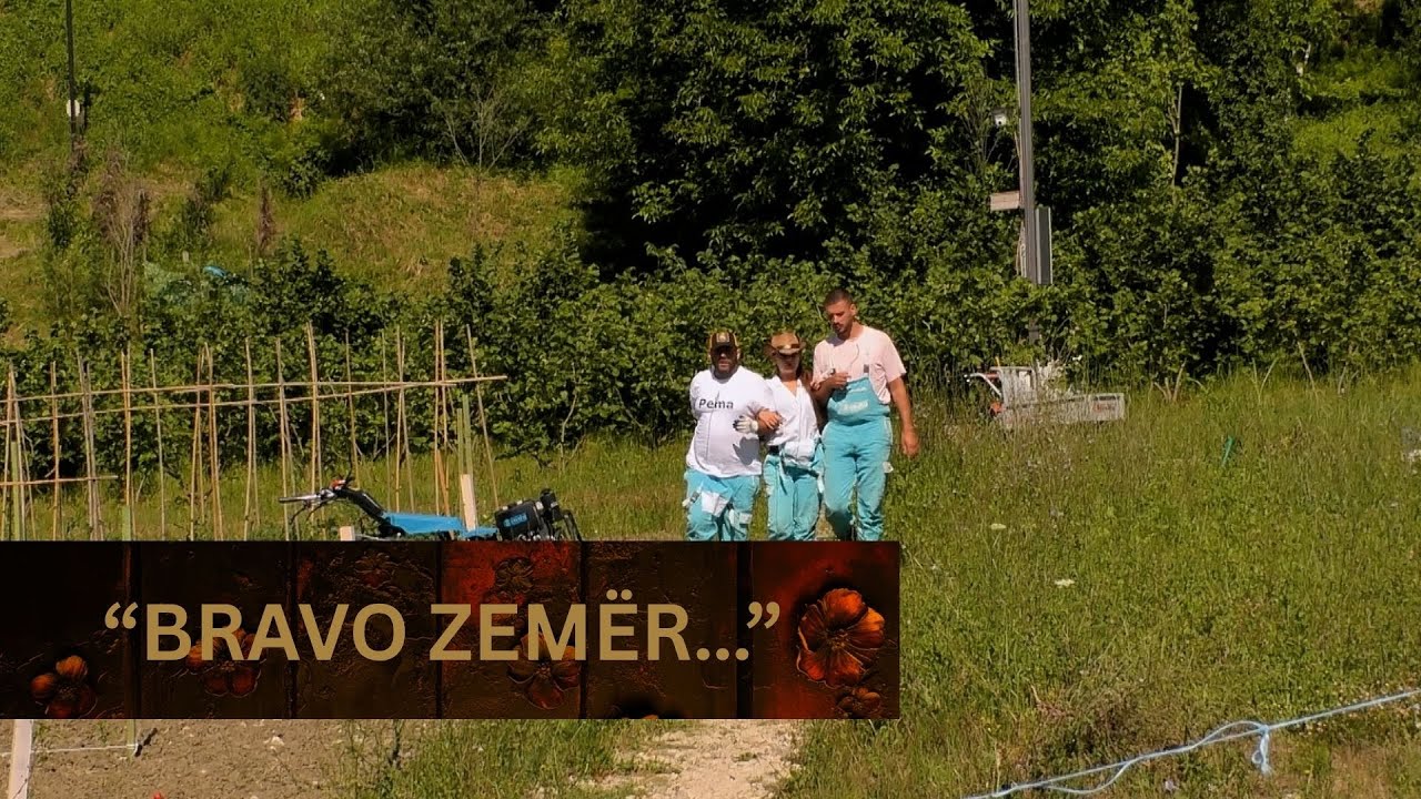 “Bravo zemër…”/Ester kujdeset për pulat | Ferma Vip - YouTube
