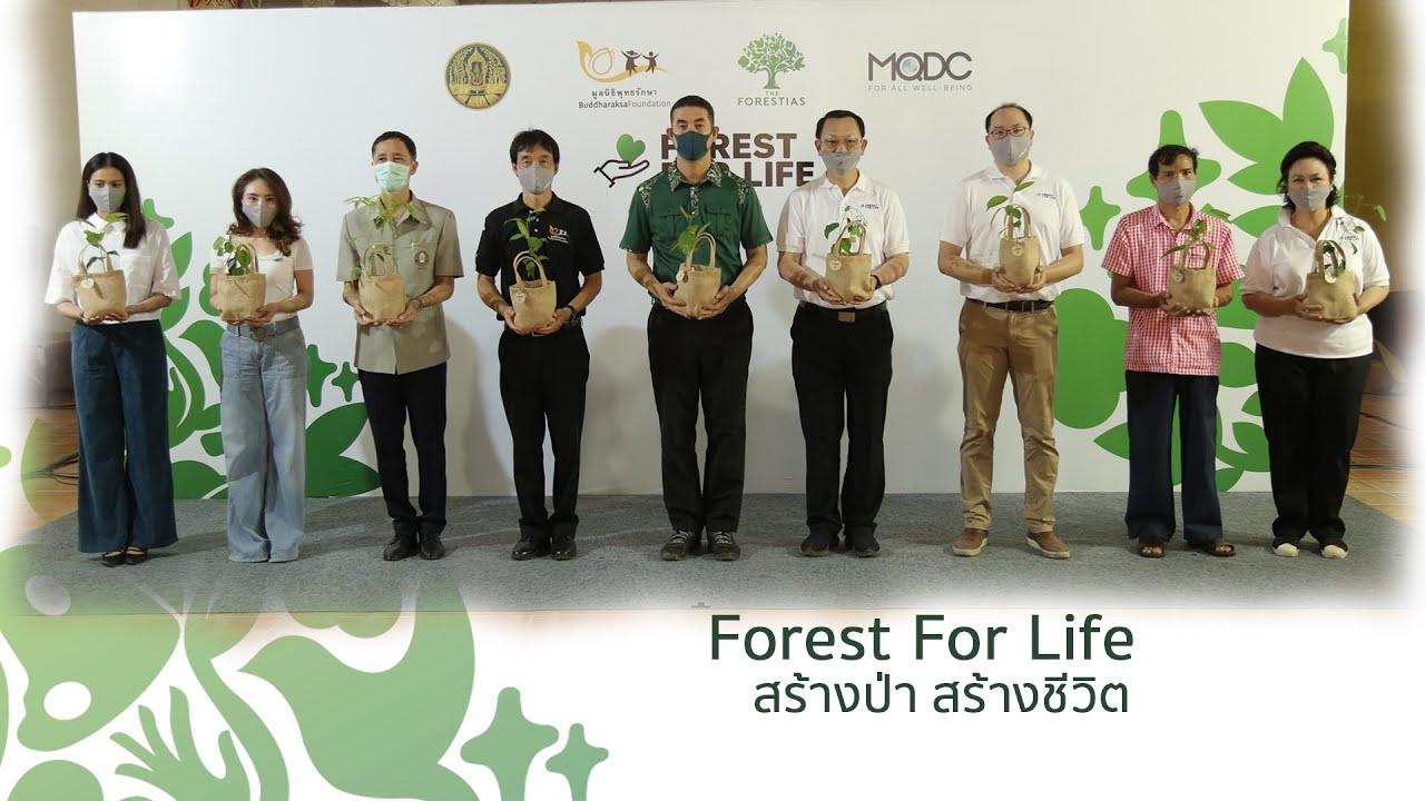 Forest For Life สร้างป่า สร้างชีวิต l 22อาสา l เนชั่นทีวี ช่อง22 - YouTube