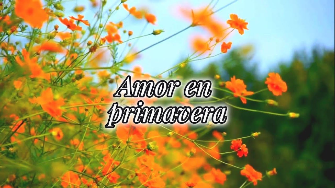 Amor en primavera - YouTube