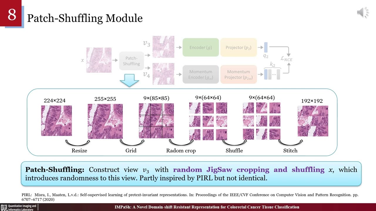 IMPaSh: A Novel Domain-shift Resistant Representation for Colorectal ...