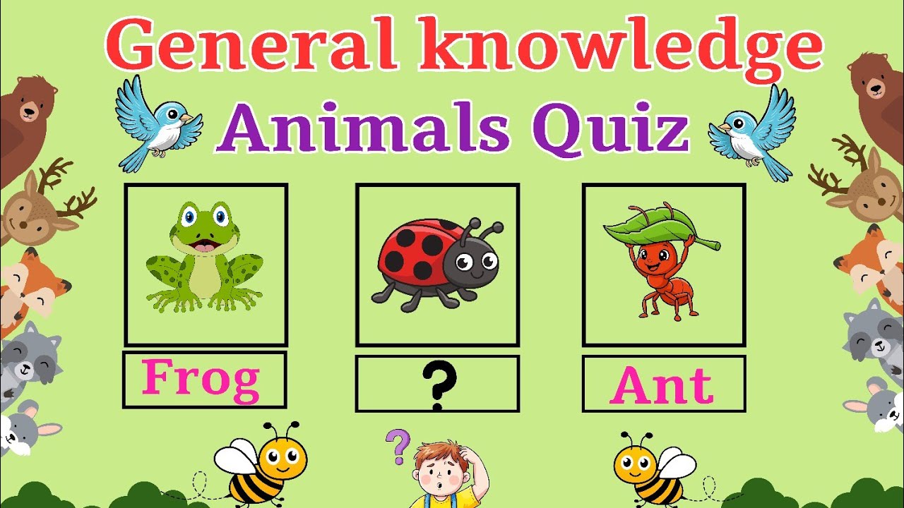 General knowledge animals quiz for kids| Animals quiz for kids| Easy G ...