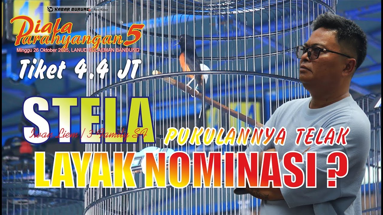 STELA PUKULANNYA TELAK! PANTAS NOMINASI ? // IWAN LIEM 3 FAMILY SF ...