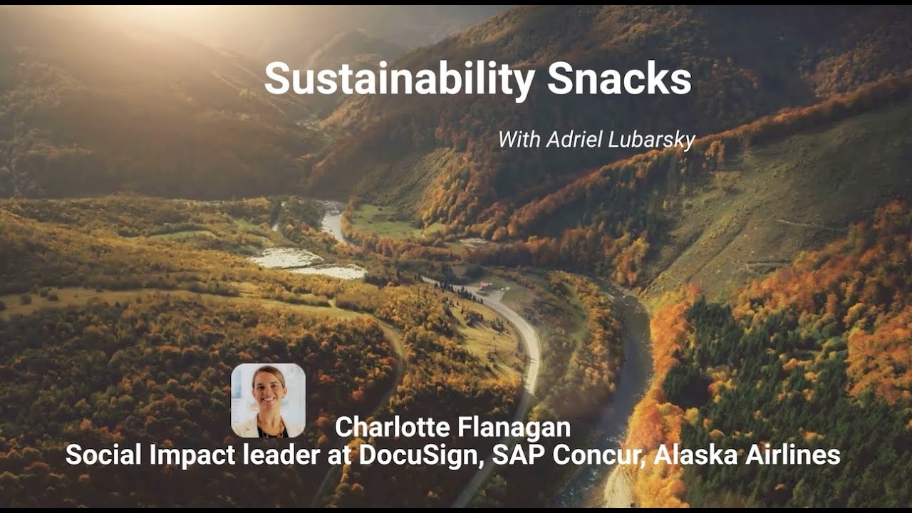 DocuSign's biggest sustainability wins & strategies - YouTube
