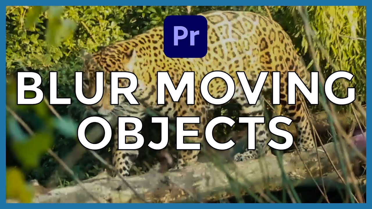 How To Blur A Moving Object In Adobe Premiere Pro In 2023 Faces How To Blur A Moving Object In Adobe Premiere Pro In 2023 Faces