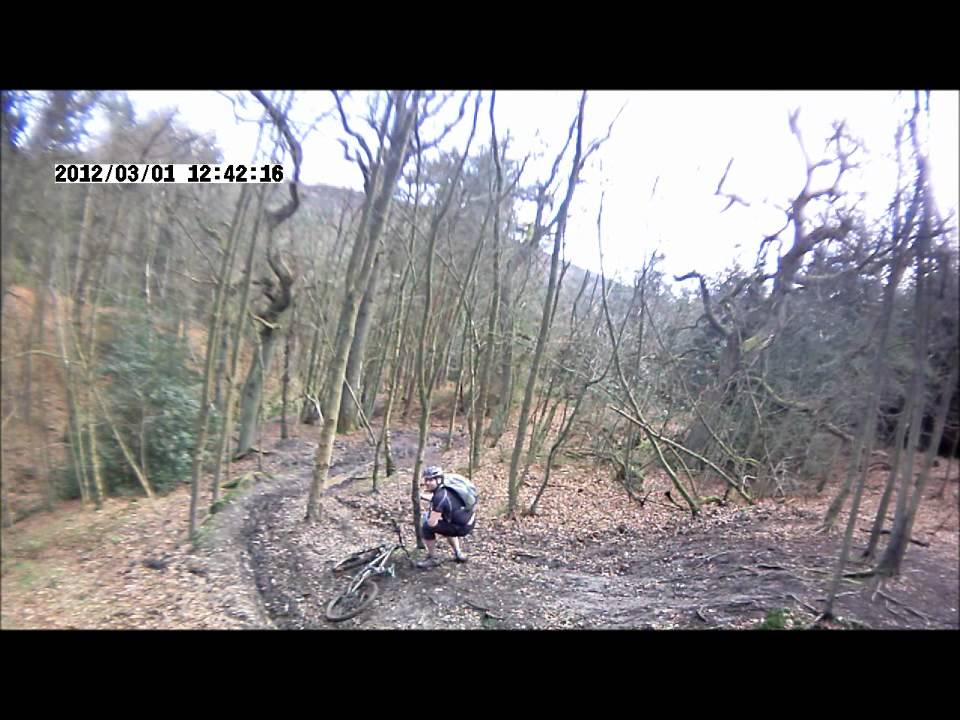 silton forest crash compilation - YouTube