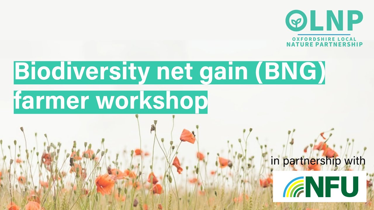 Making BNG work for your farm business - YouTube