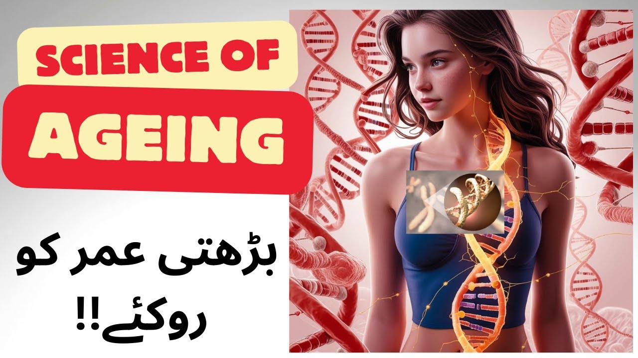 How To Slow Down And Stop Ageing Don t Appear Older Than You Are In