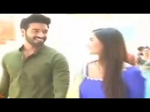 Suraj-Chakor set free || Udaan