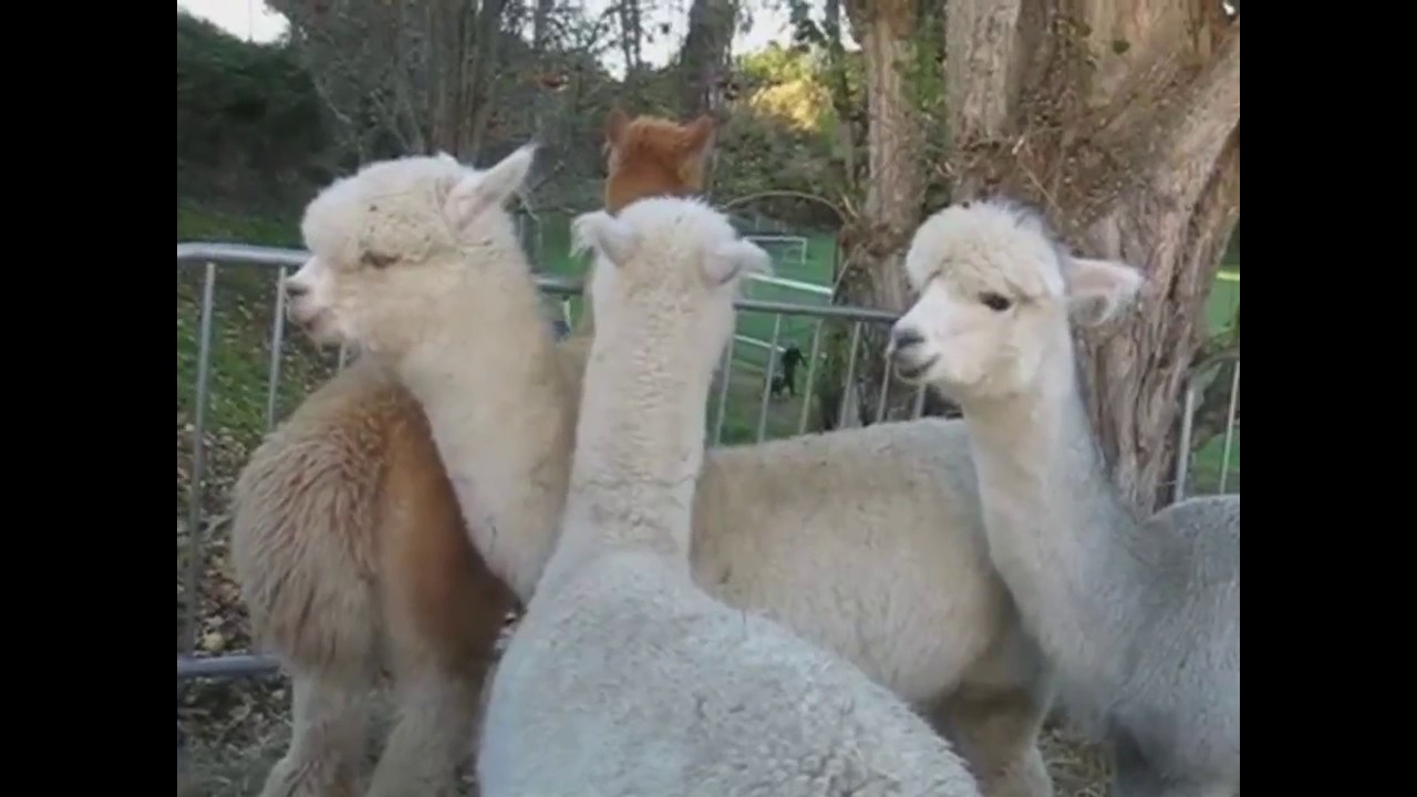 TUTO EXCLUSIF EN DIRECT COMAN VALID2 UNE CARTE TWISTO ...